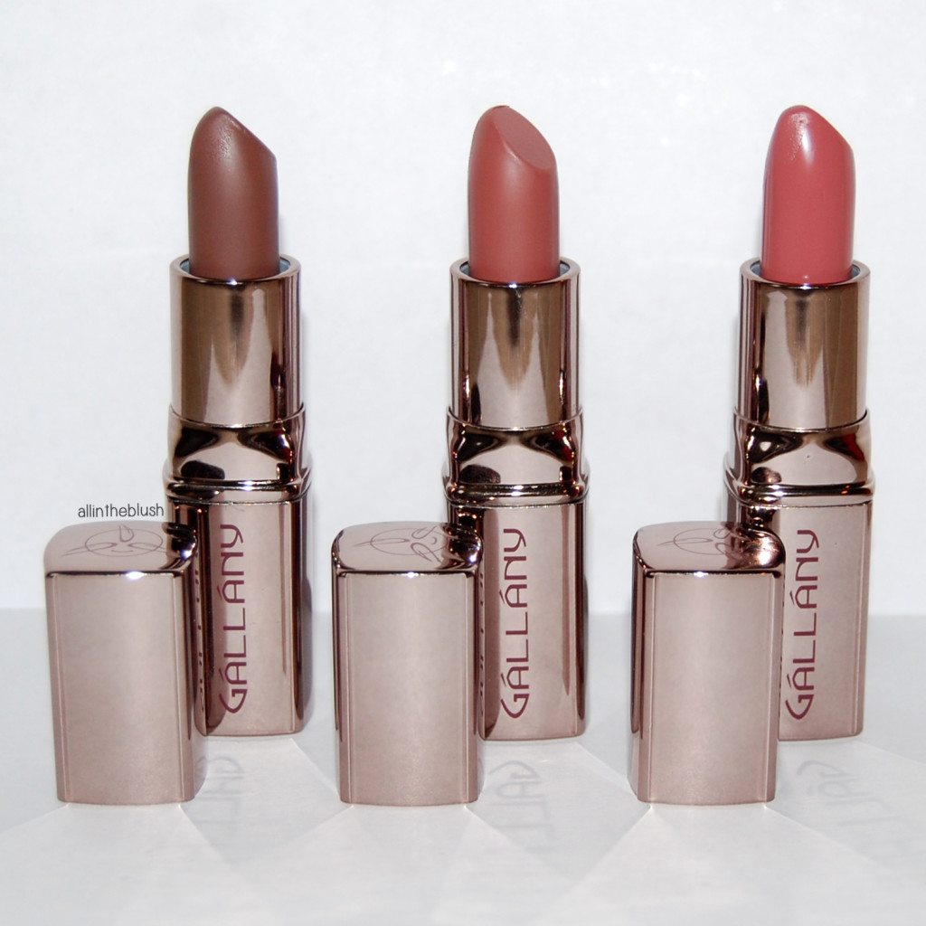 Gallany Semi Matte Lipstick Review » All In The Blush