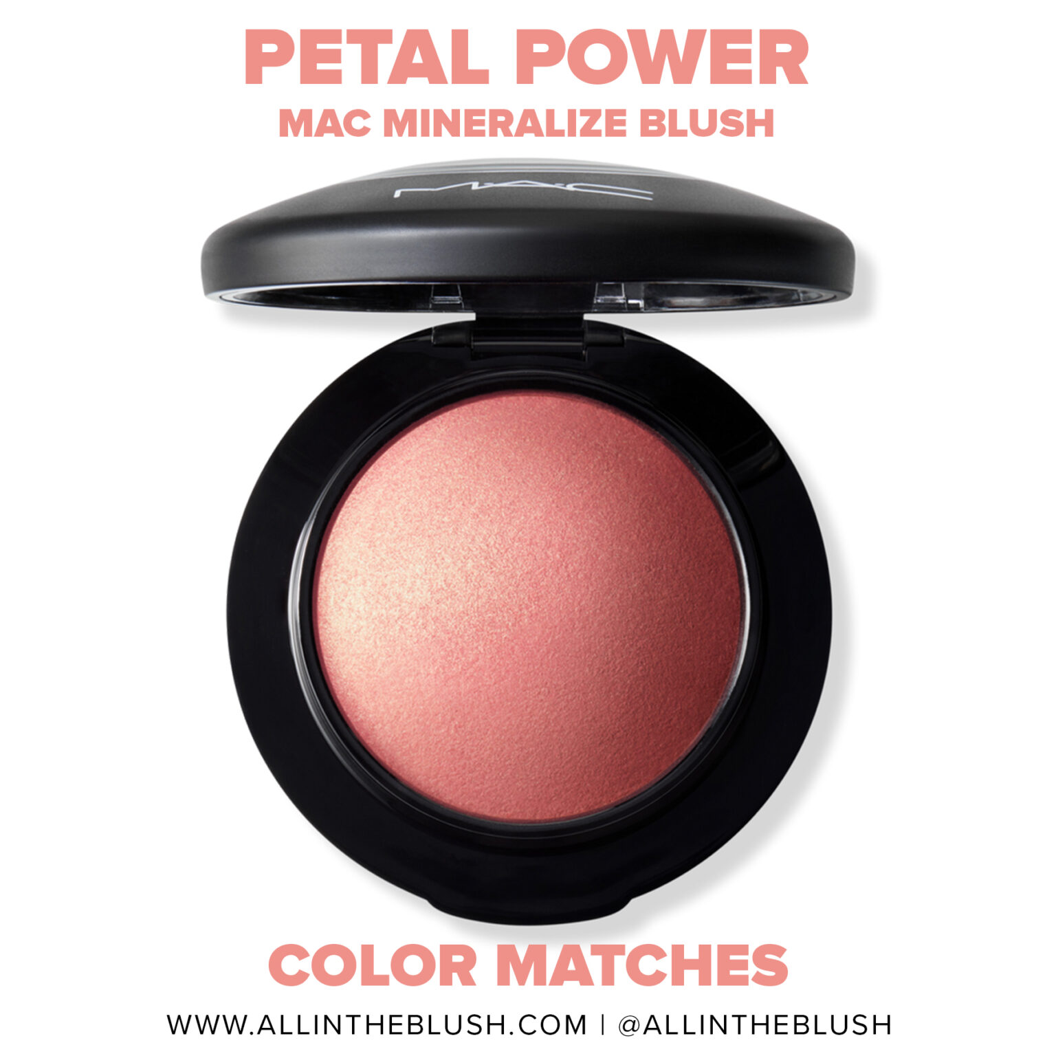 MAC Petal Power Mineralize Blush Color Matches » All In The Blush