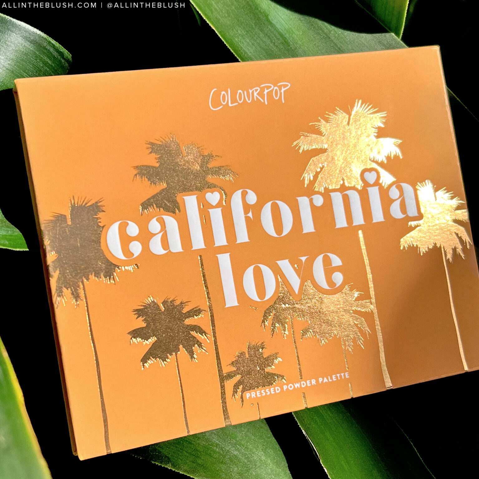 ColourPop California Love Eyeshadow Palette Review » All In The Blush